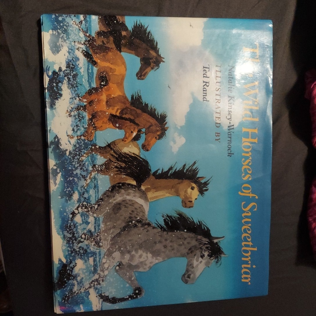 The Wild Horses of Sweetbriar by Natalie Kinsey-Warnock