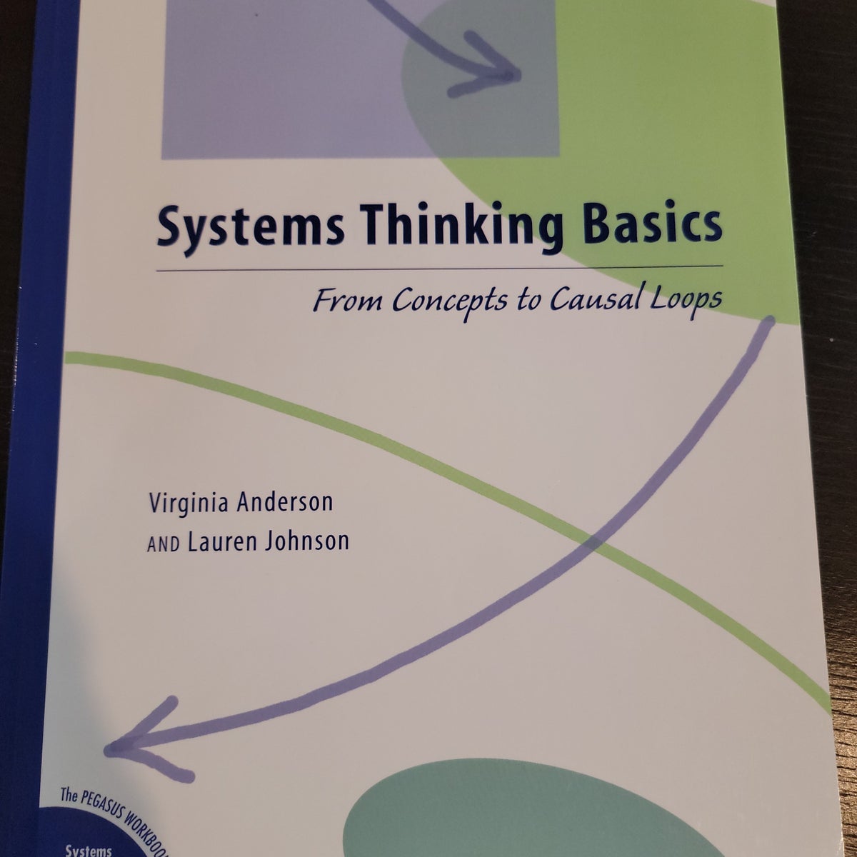 Systems Thinking Basics by Virginia Anderson, Lauren Johnson