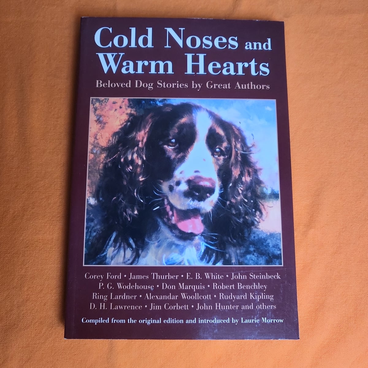 Cold Noses and Warm Hearts