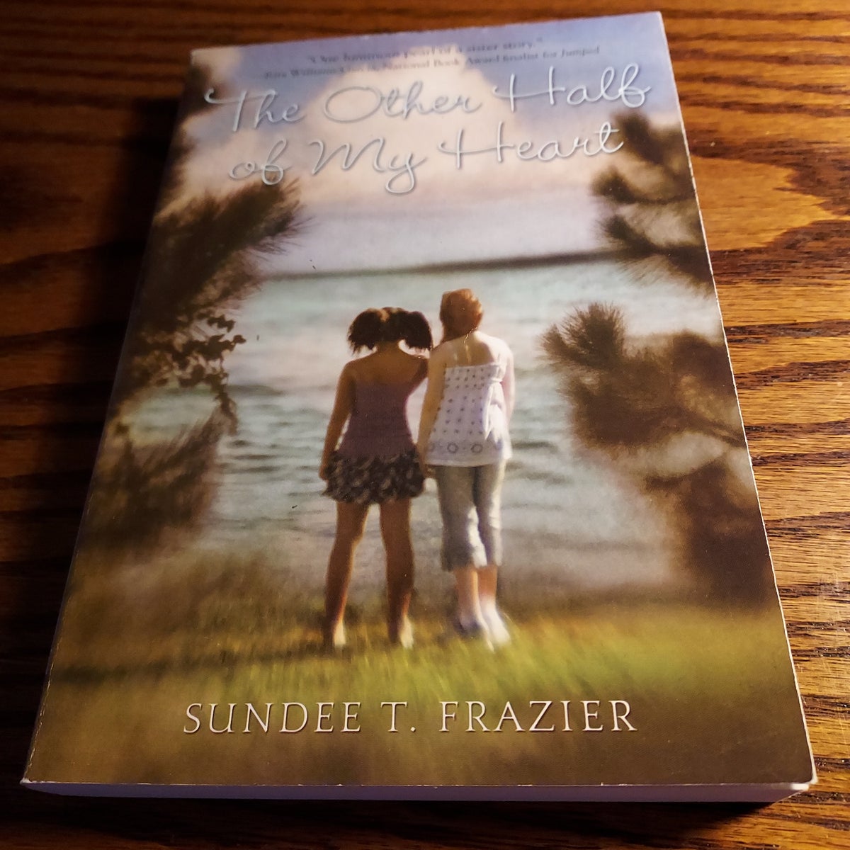 The Other Half of My Heart by Sundee T. Frazier