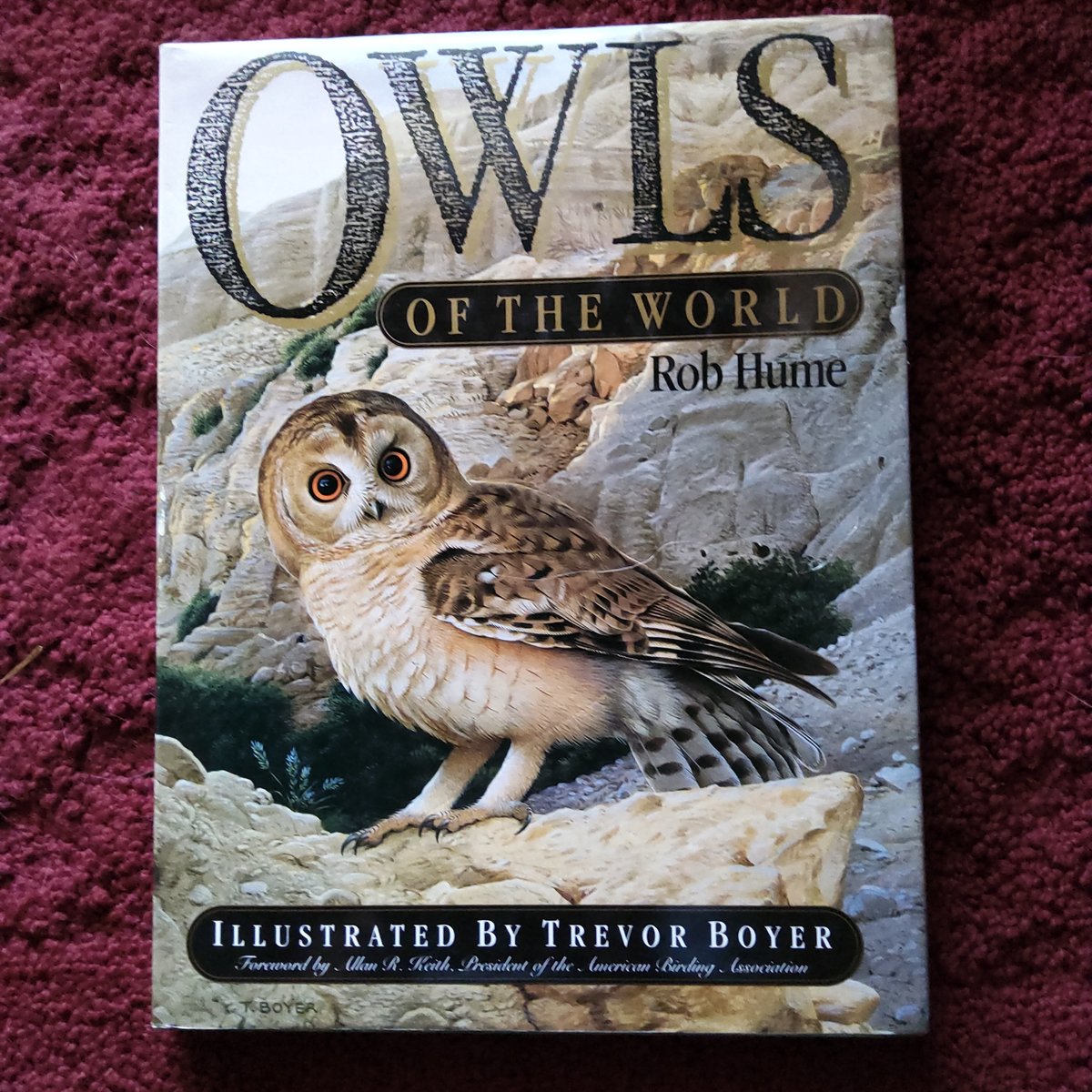 Owls of the World by Rob Hume, Allan R. Keith