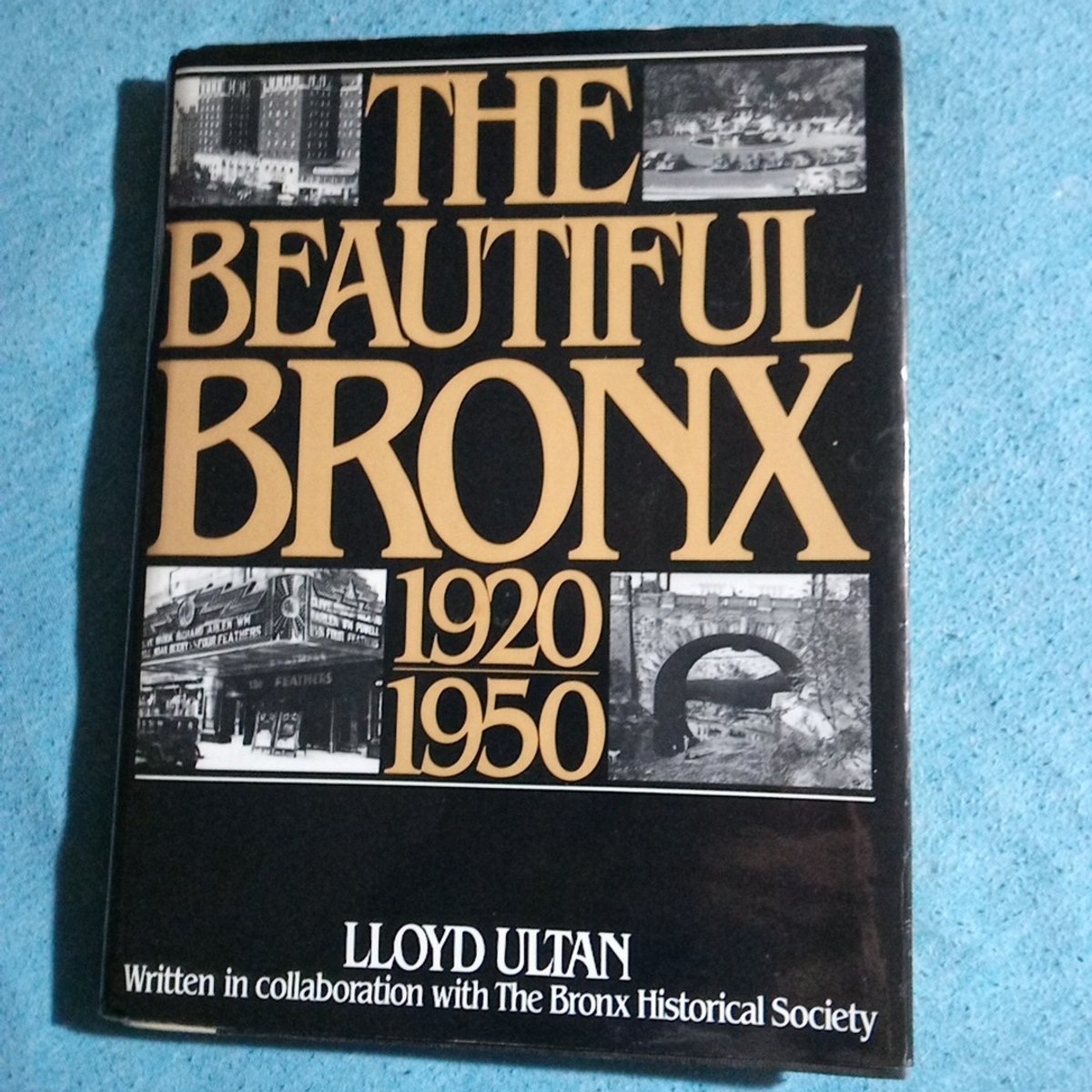 The Beautiful Bronx 1920-1950 by Gary Hermalyn, Lloyd Ultan