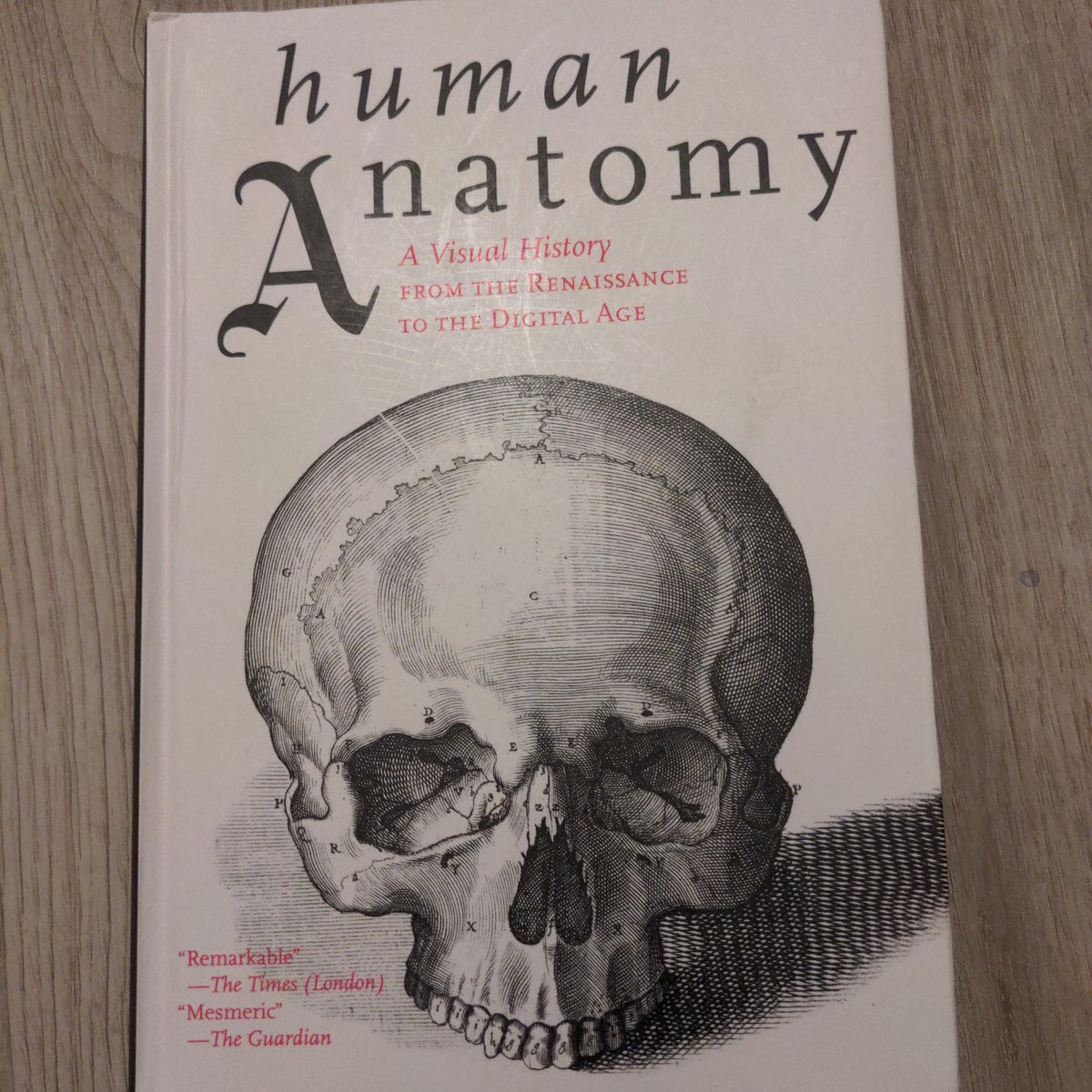 Human Anatomy by Benjamin A. Rifkin, Michael J. Ackerman