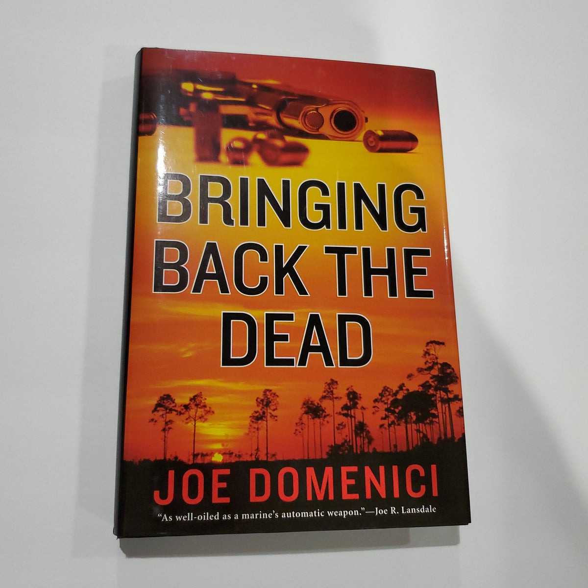 Bringing Back the Dead by Joe Domenici