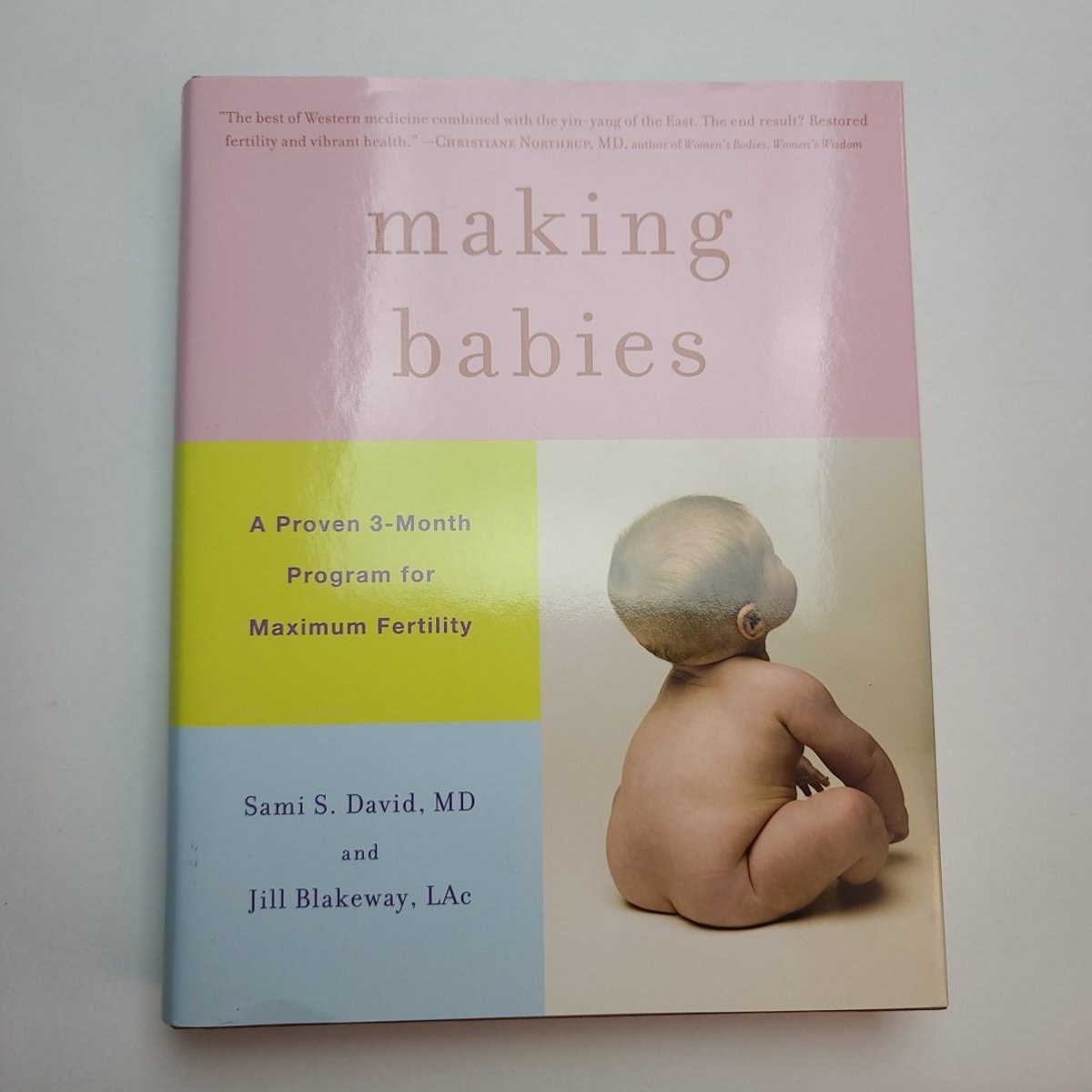 Making Babies by Jill Blakeway, Sami S. David