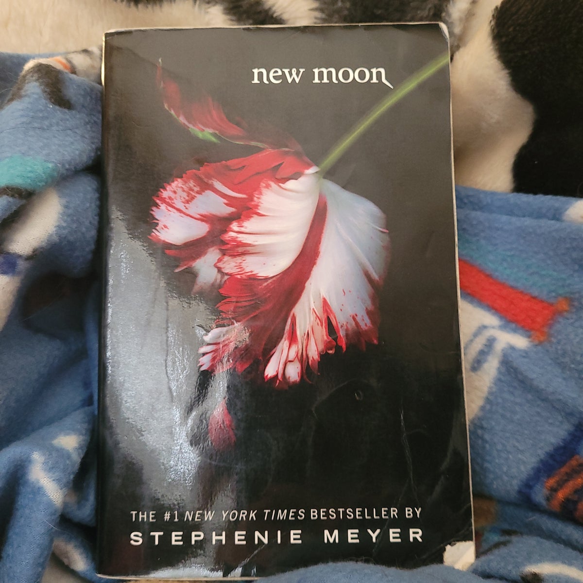 New Moon by Stephenie Meyer, Paperback | Pangobooks