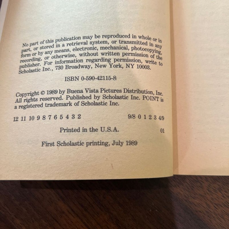 Honey, I Shrunk the Kids by Elizabeth Faucher