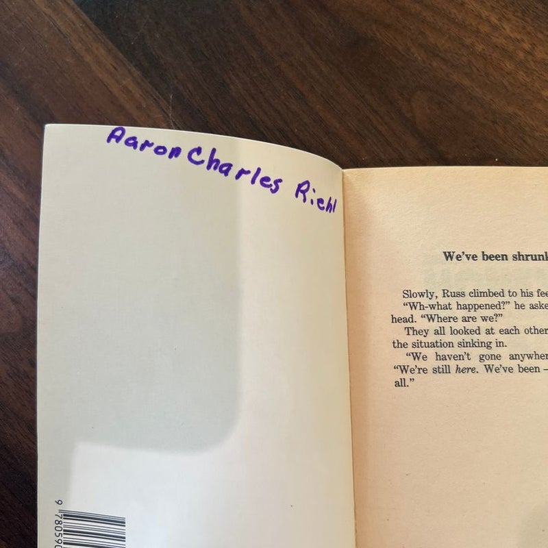 Honey, I Shrunk the Kids by Elizabeth Faucher