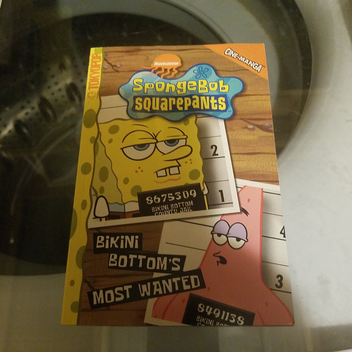 Spongebob Squarepants Bikini Bottom's Most Wanted by Stephen Hillenburg