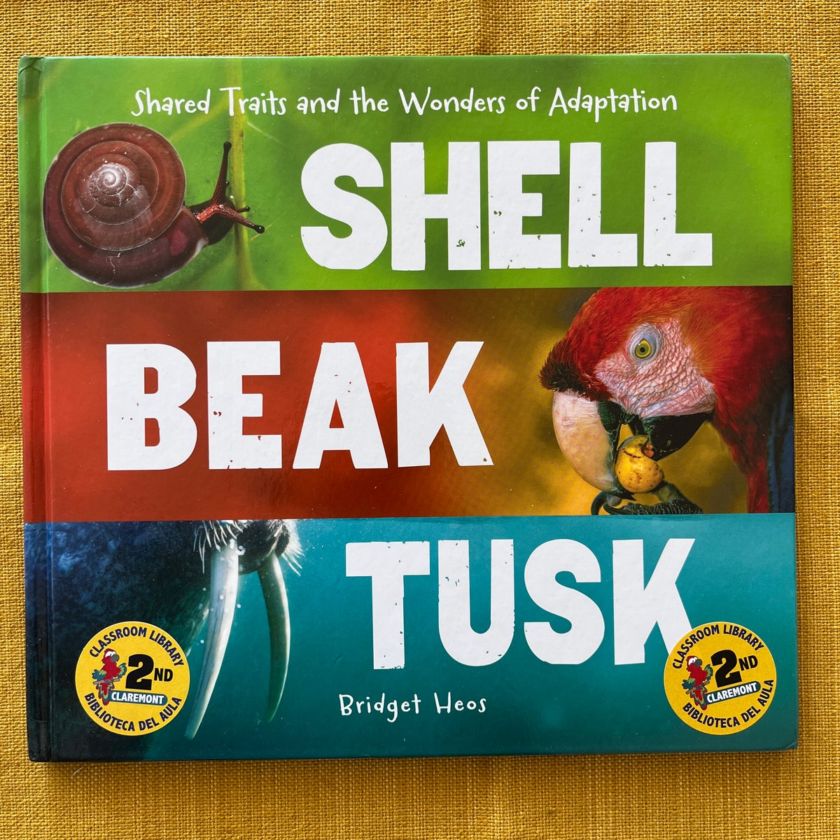 Shell, Beak, Tusk by Bridget Heos, Hardcover | Pangobooks