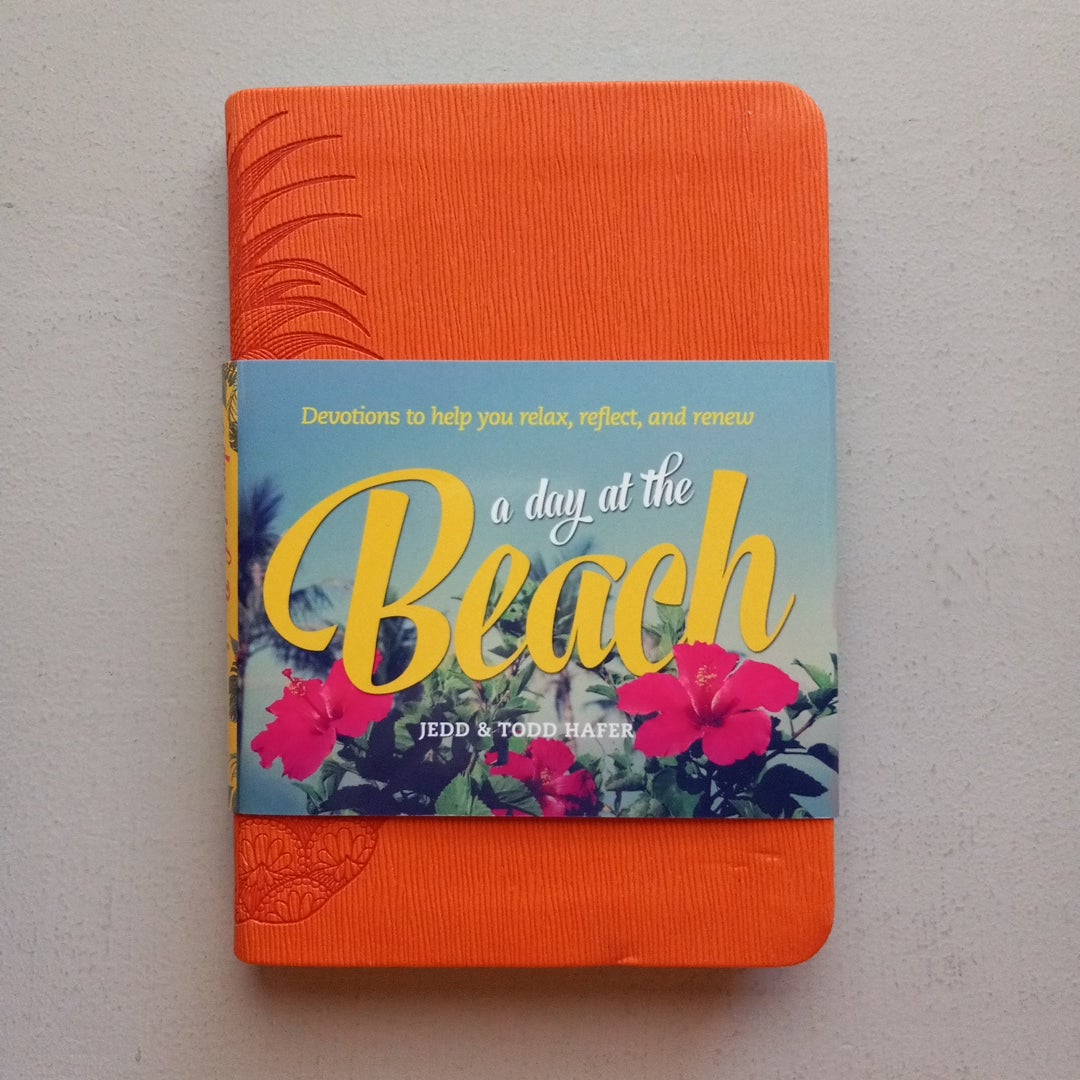 A Day at the Beach by Jedd Hafer, Todd Hafer