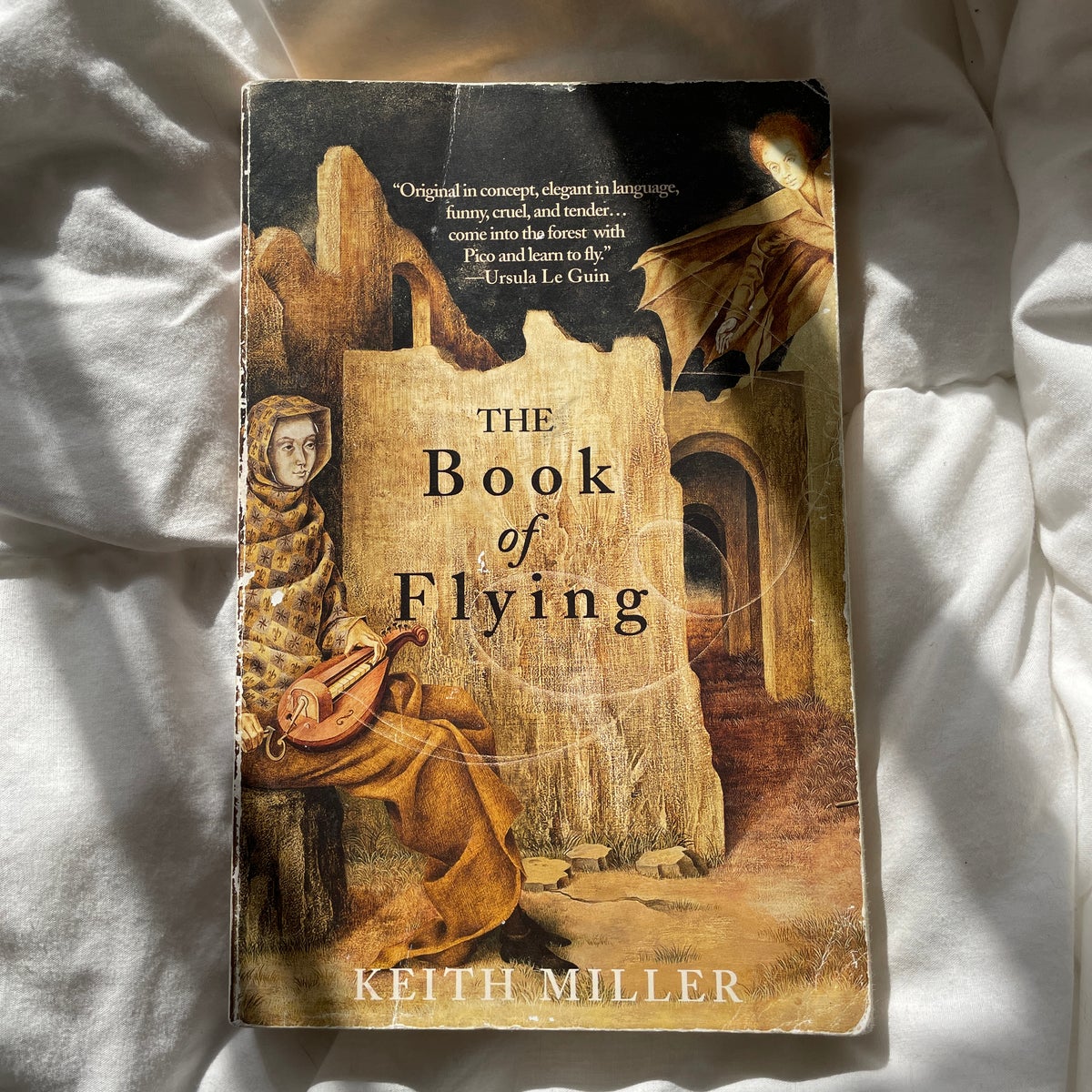 The Book of Flying by Keith Miller