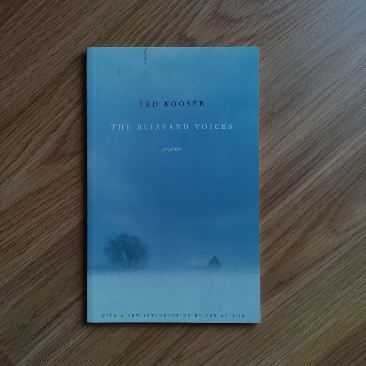 The Blizzard Voices by Ted Kooser