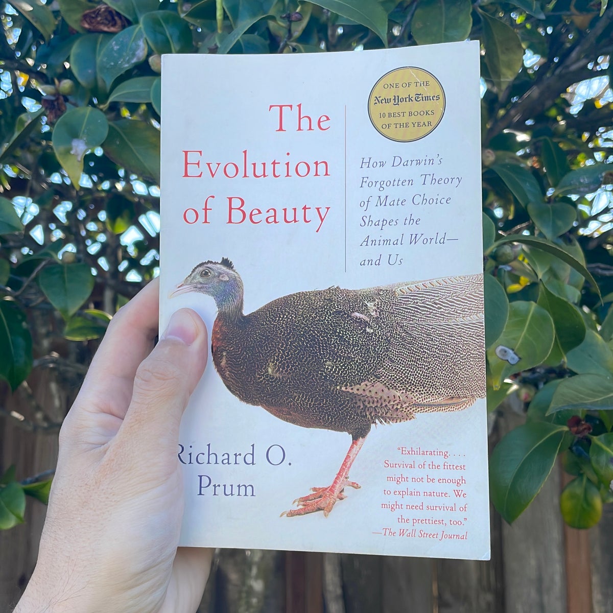 The Evolution of Beauty by Richard O. Prum | Pangobooks