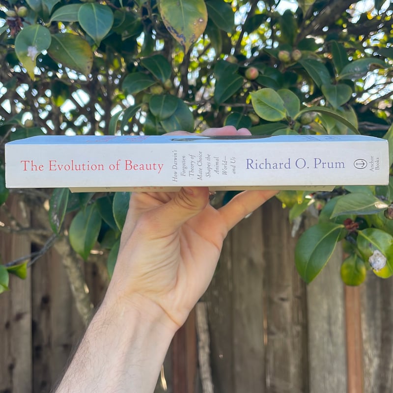 The Evolution of Beauty by Richard O. Prum | Pangobooks