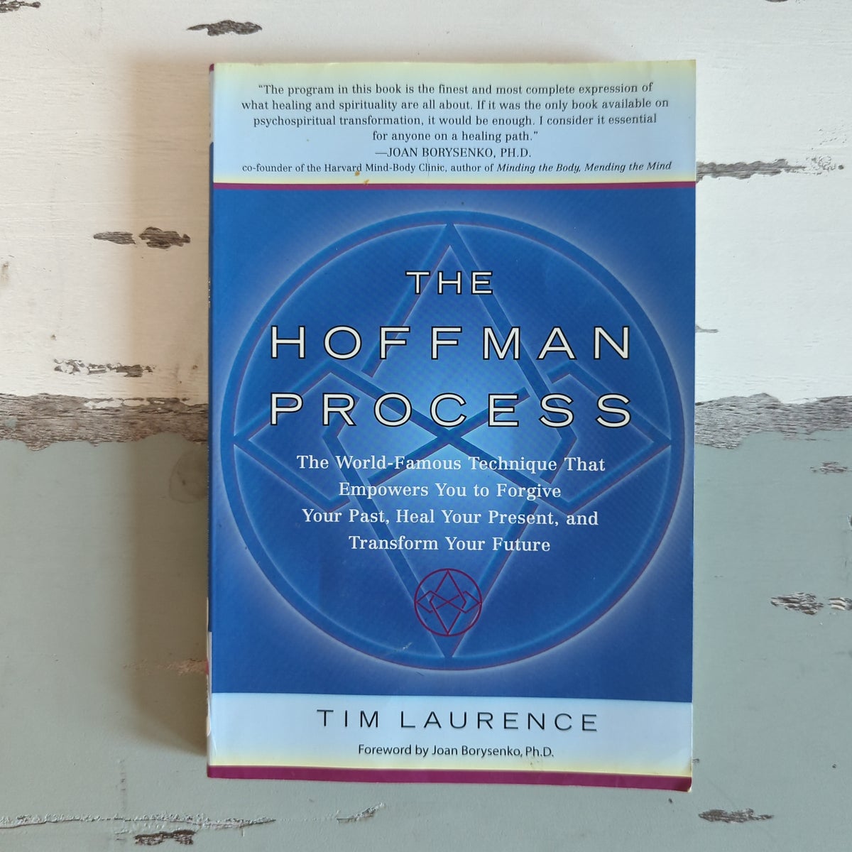 The Hoffman Process by Tim Laurence, Joan Borysenko