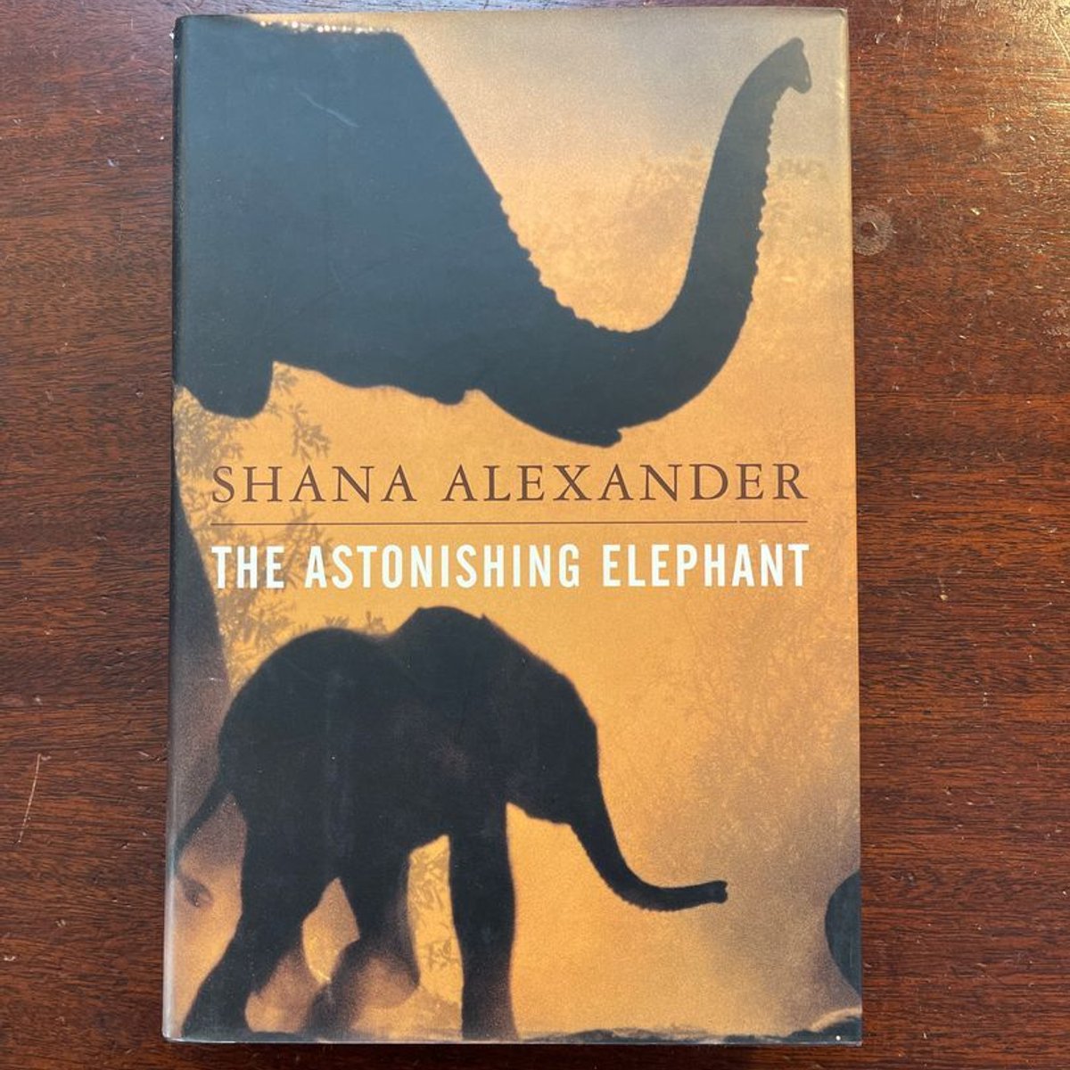 The Astonishing Elephant by Shana Alexander