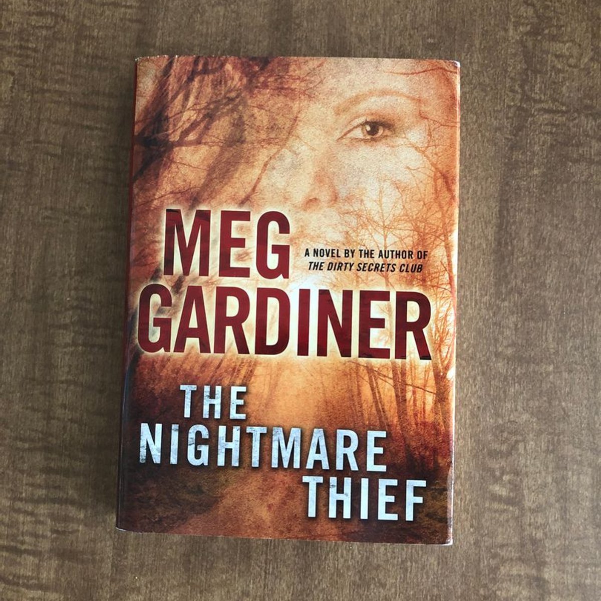 The Nightmare Thief by Meg Gardiner, Hardcover | Pangobooks