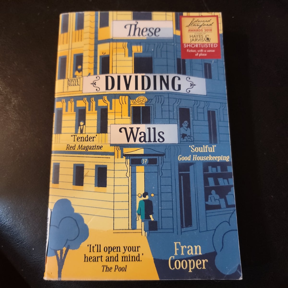 These Dividing Walls by Fran Cooper