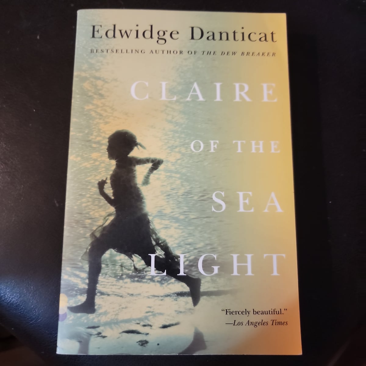 Claire of the Sea Light by Edwidge Danticat