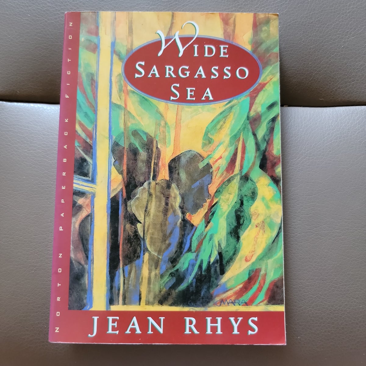 Wide Sargasso Sea by Jean Rhys, Charlotte Brontë, Judith L. Raiskin