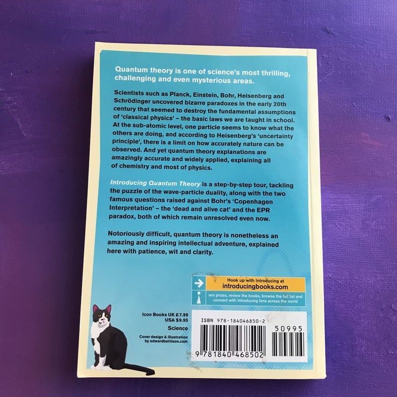 Introducing Quantum Theory by J. P. McEvoy, Paperback | Pangobooks