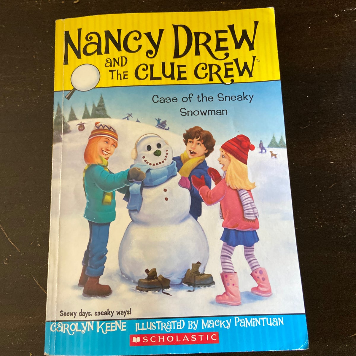 Case of the Sneaky Snowman