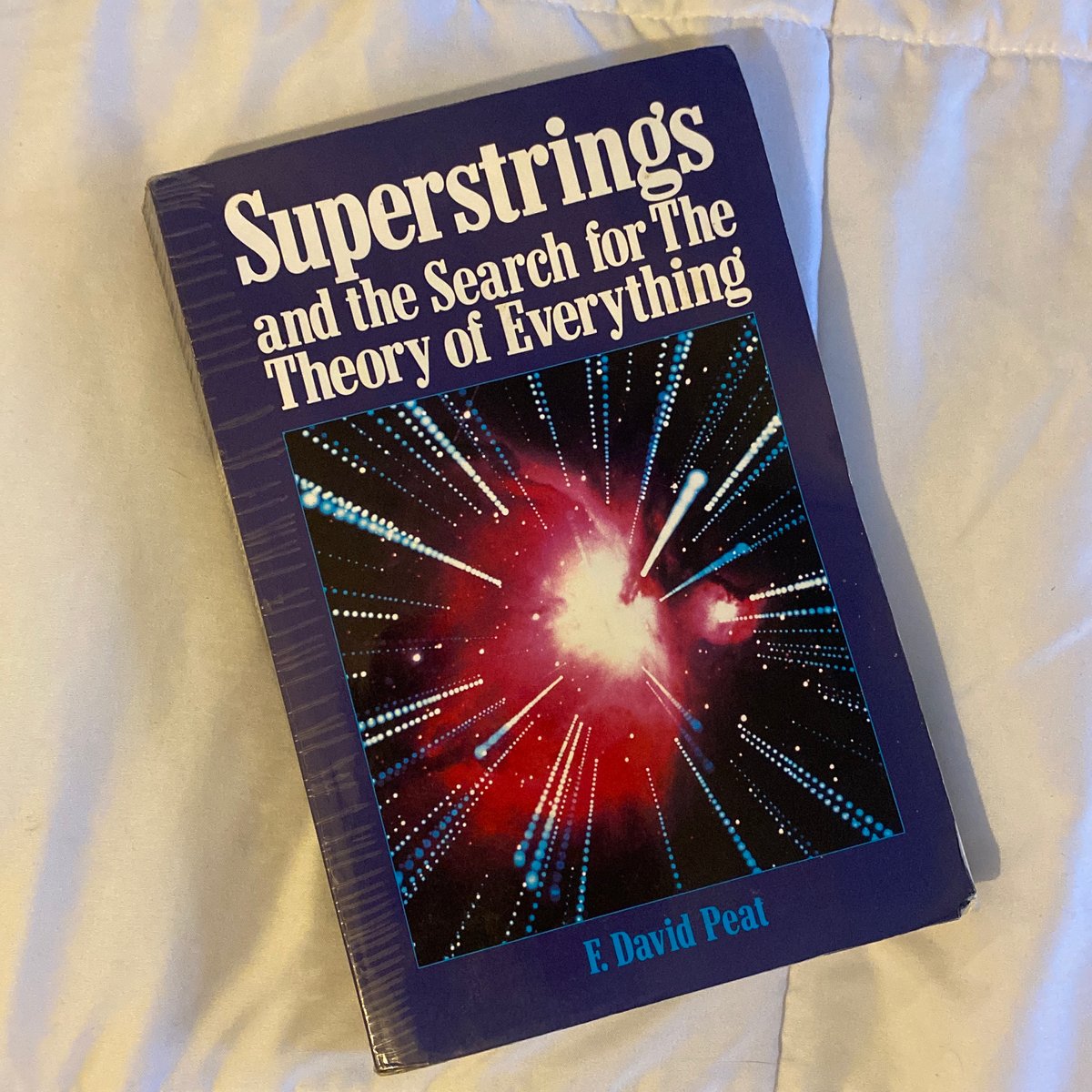 Superstrings and the Search for the Theory of Everything by F. David Peat