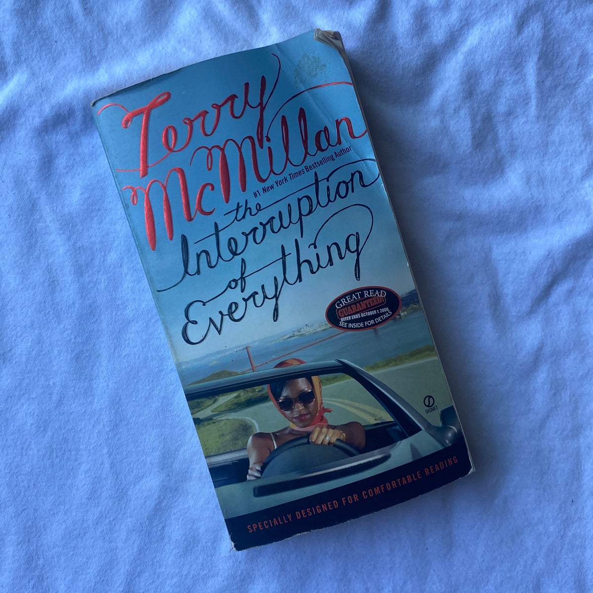 The Interruption of Everything by Terry McMillan