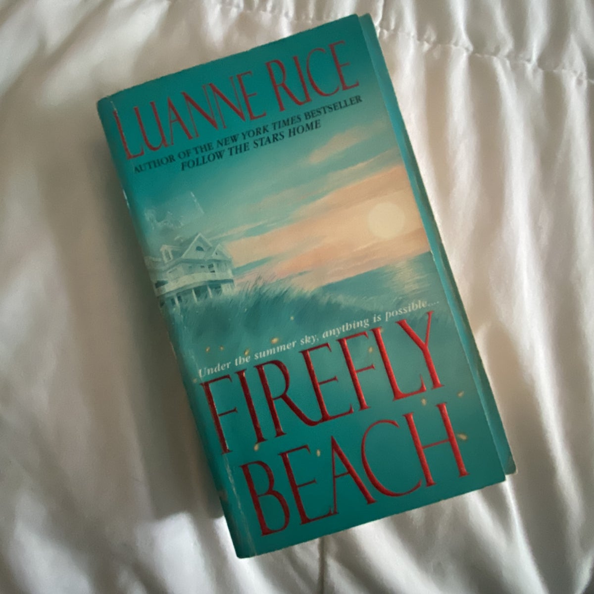 Firefly Beach by Luanne Rice