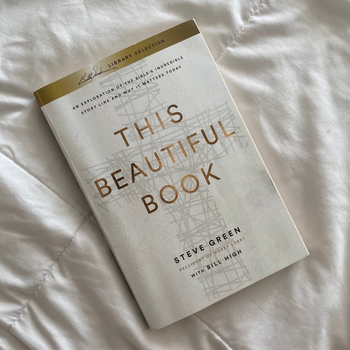 This Beautiful Book by Steve Green, Bill High