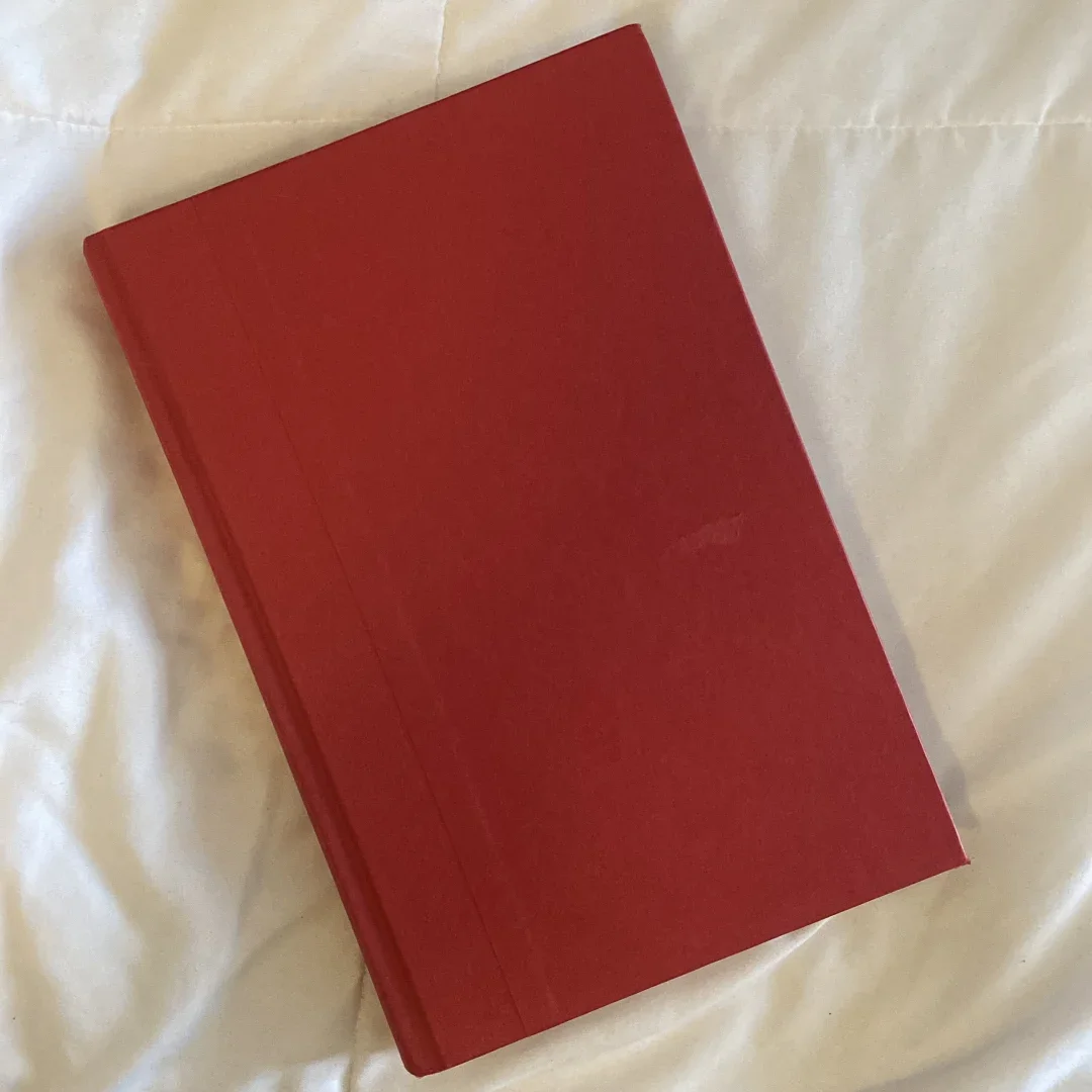 Run Catch Kiss by Amy Sohn