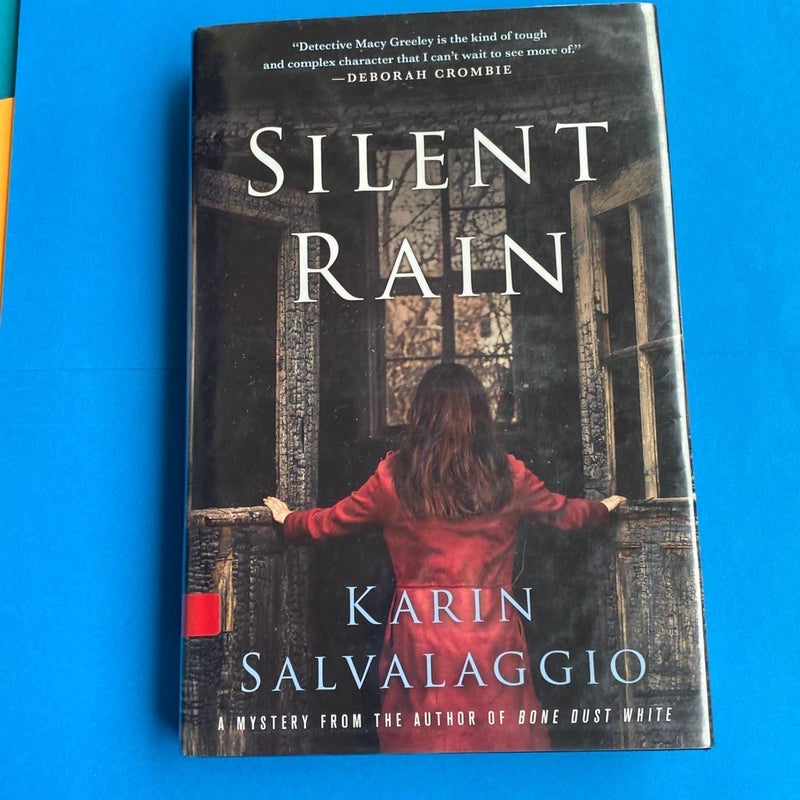 Silent Rain by Karin Salvalaggio