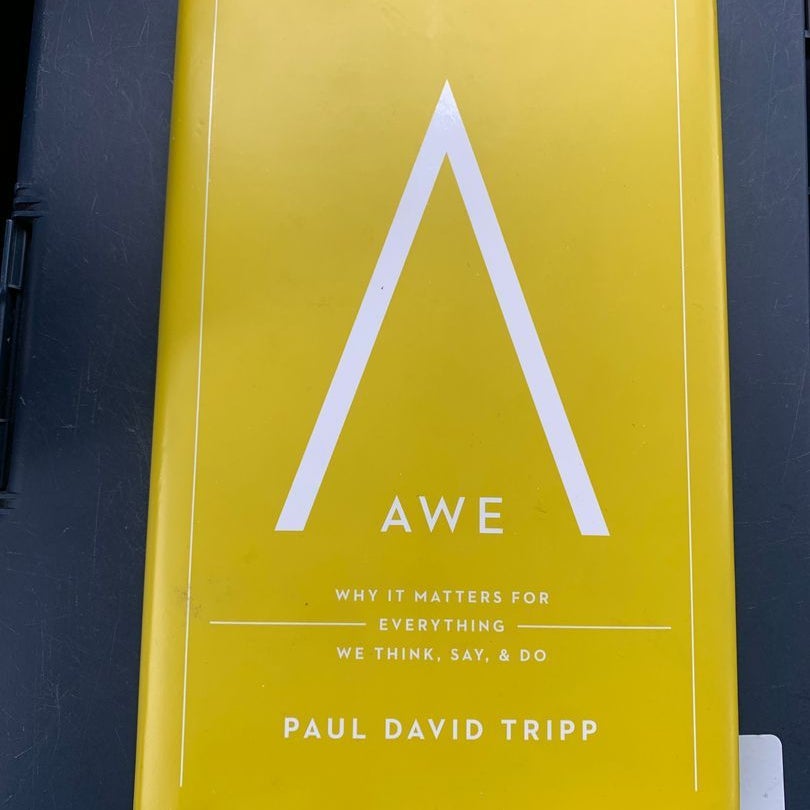 Awe by Paul David Tripp