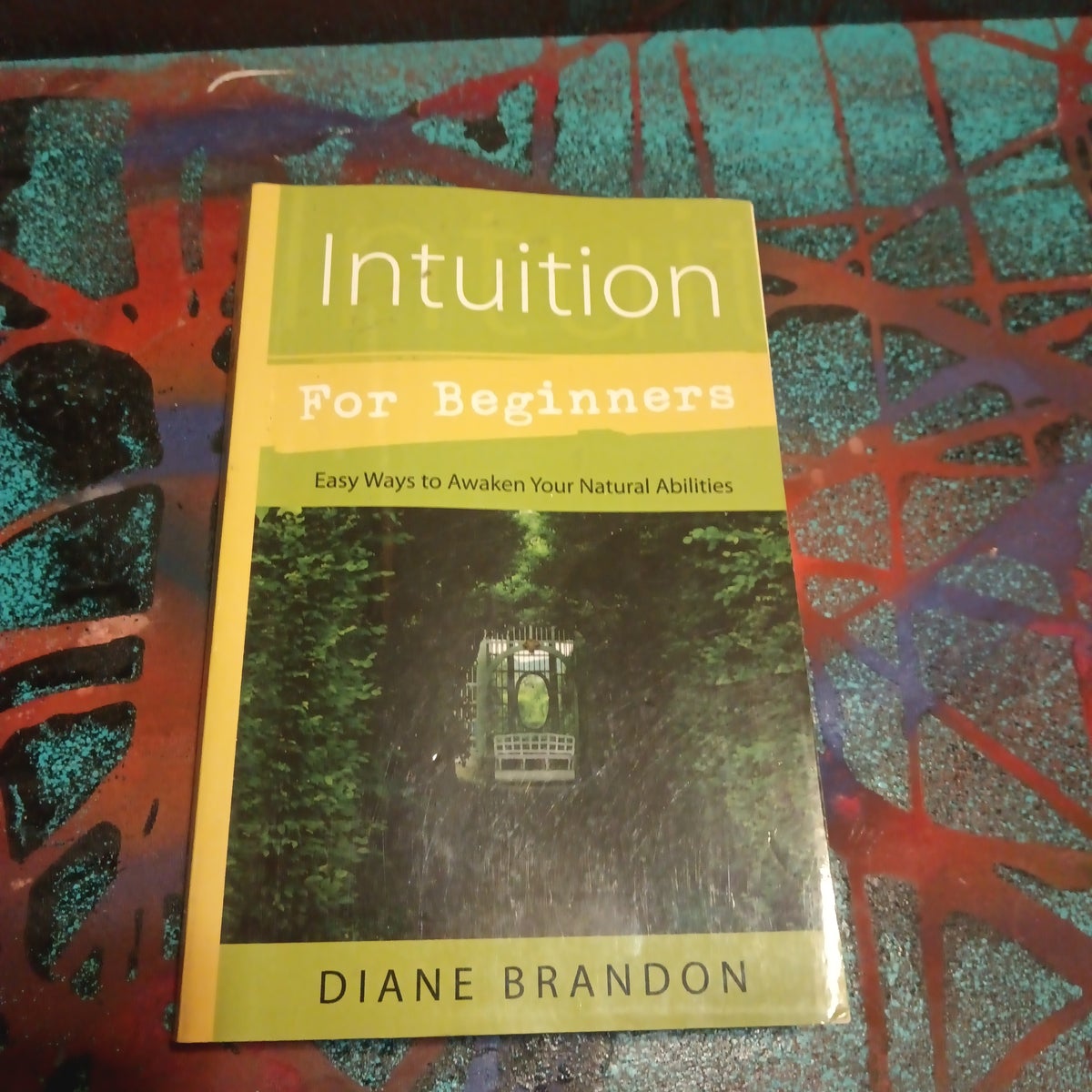Intuition for Beginners by Diane Brandon
