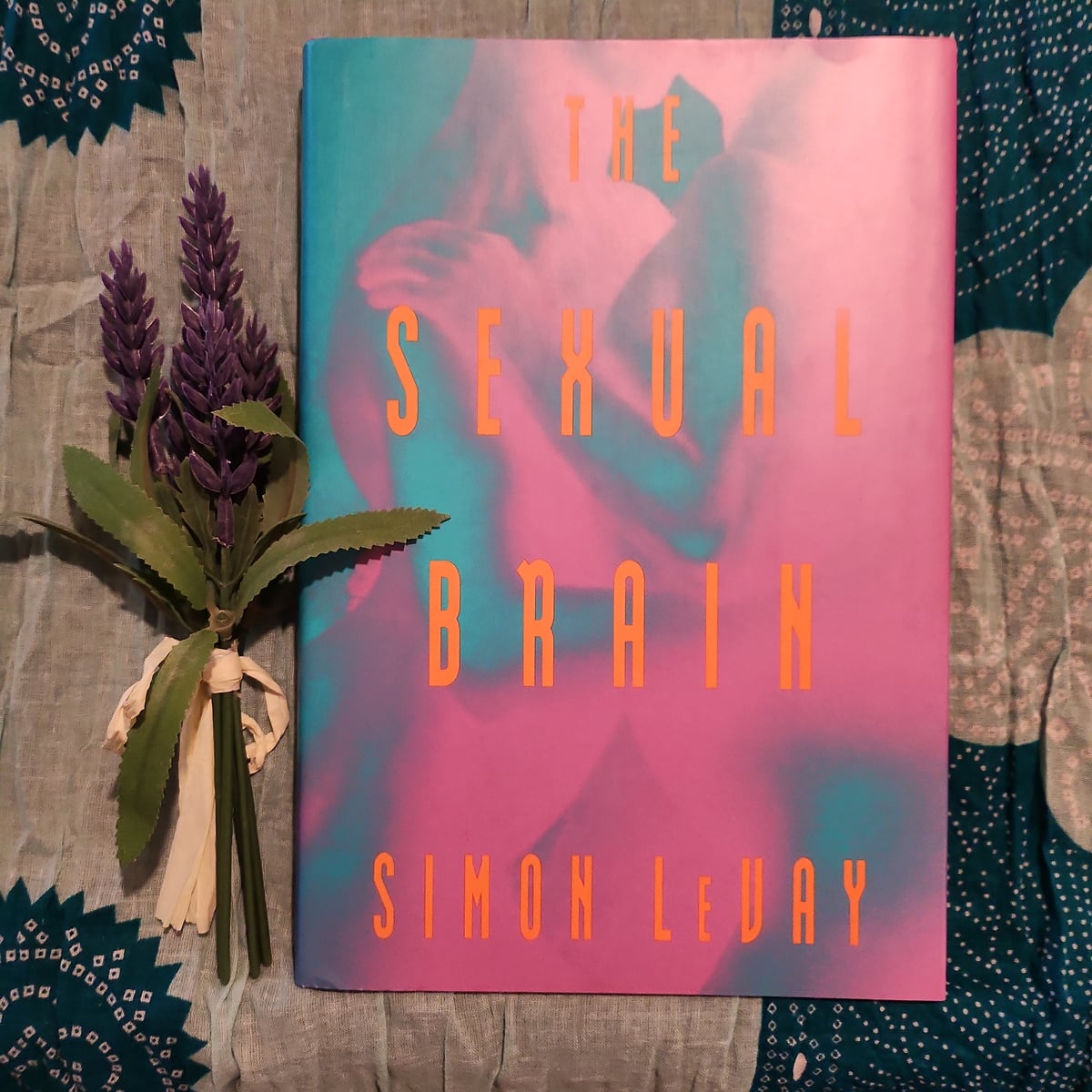 The Sexual Brain by Simon LeVay