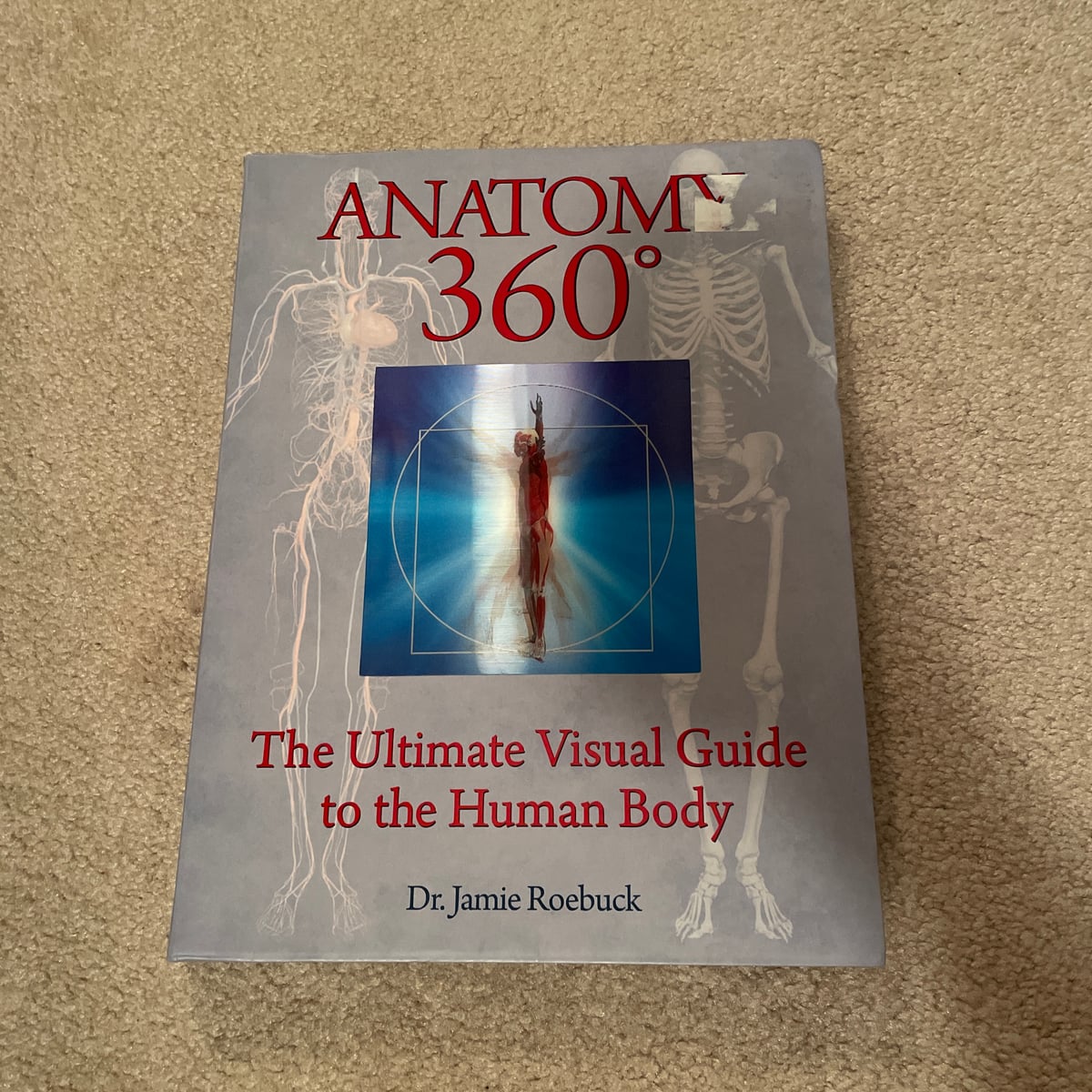 Anatomy 360 by Jamie Roebuck