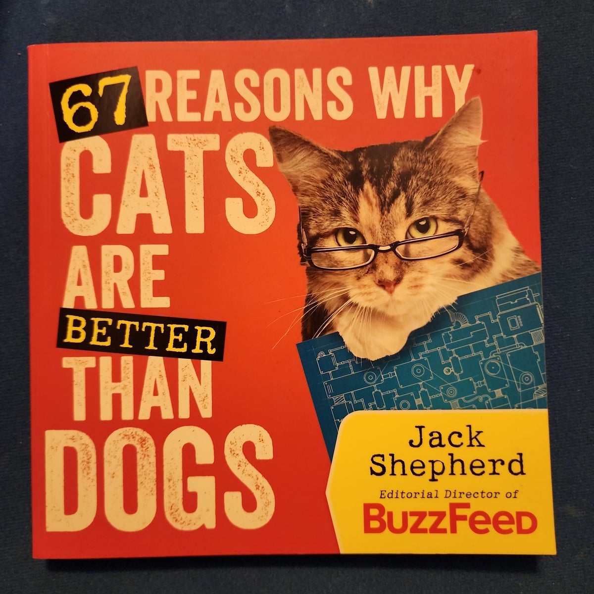 67 Reasons Why Cats Are Better Than Dogs by Jack Shepherd 67 Reasons Why Cats Are Better Than Dogs by Jack Shepherd