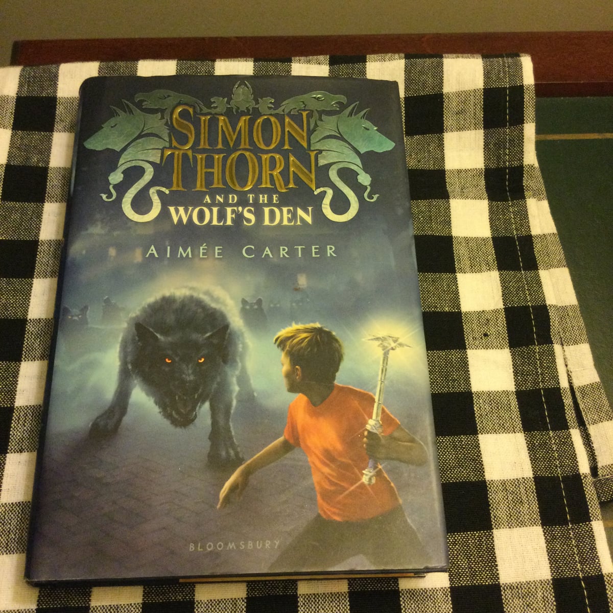 Simon Thorn and the Wolf's Den by Aimée Carter, Hardcover | Pangobooks