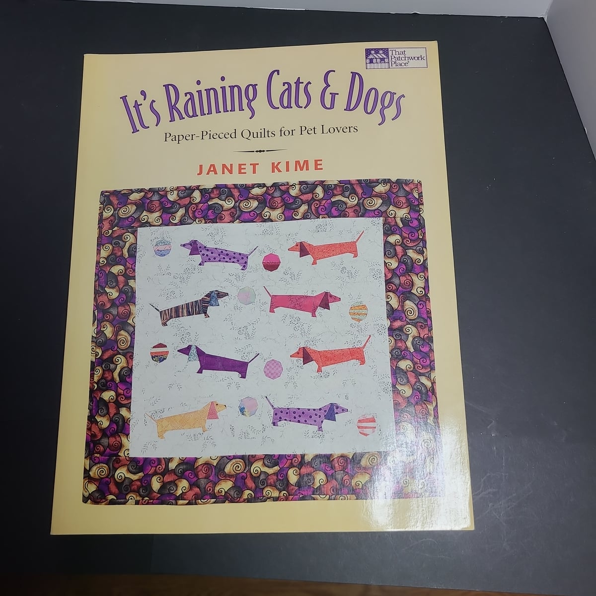 It's Raining Cats and Dogs by Janet Kime