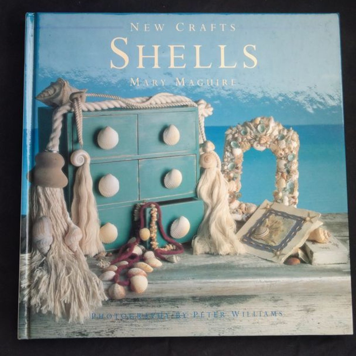 Shells by Mary Maguire