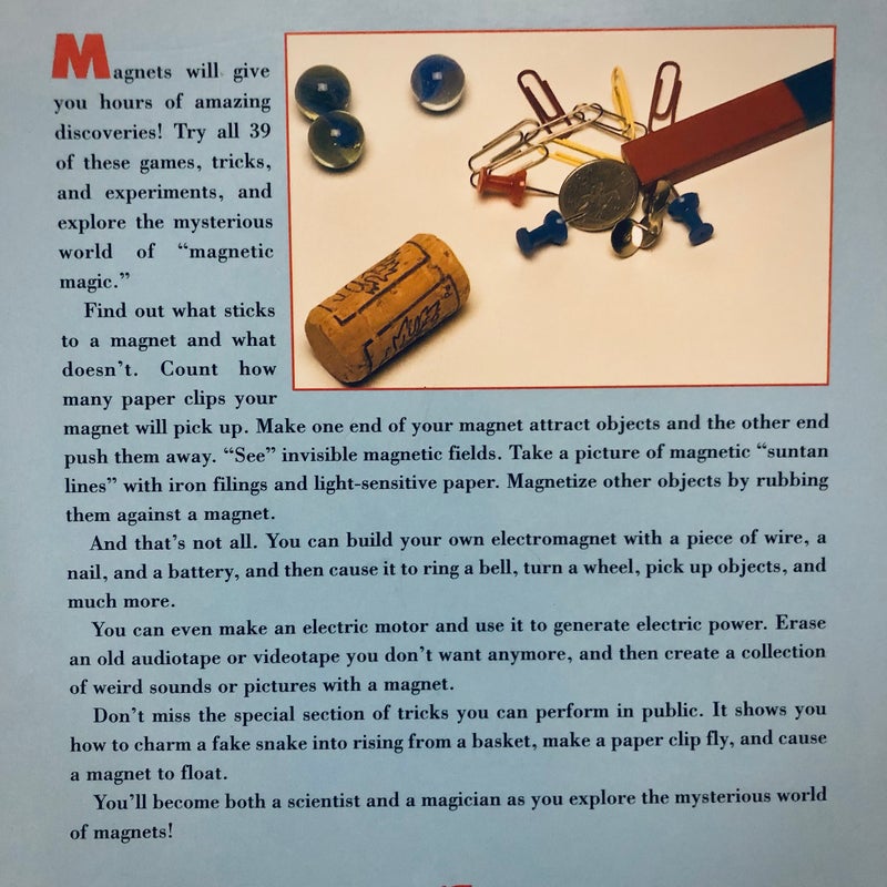 The Magnet Book by Shar Levine, Paperback | Pangobooks