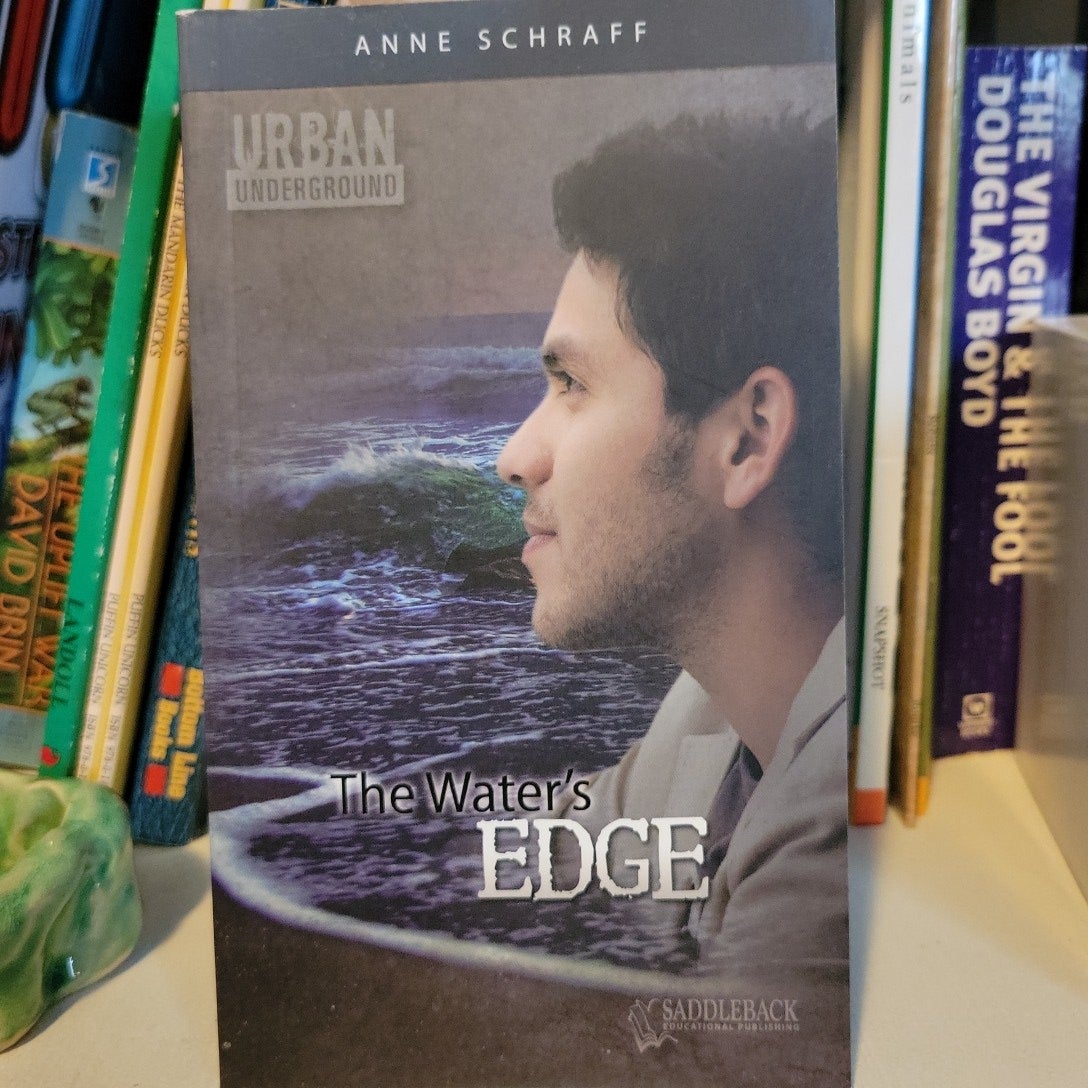 The Water's Edge by Anne Schraff