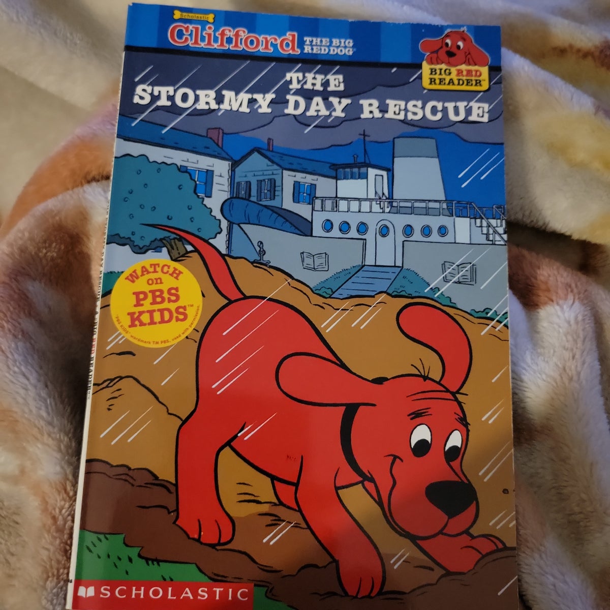 The Stormy Day Rescue by Kimberly Weinberger, Paperback | Pangobooks