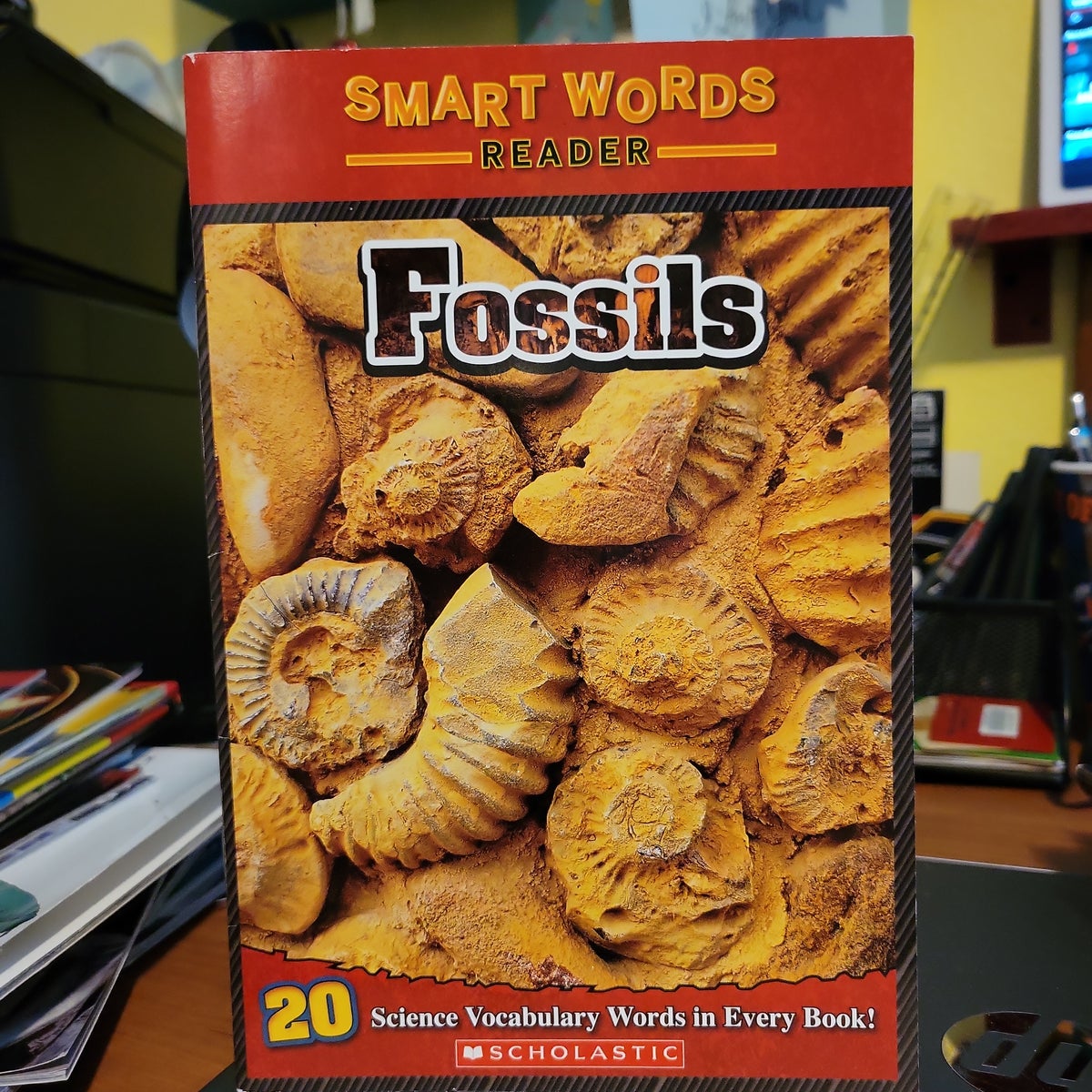 Fossils by Judith Bauer Stamper, Paperback | Pangobooks