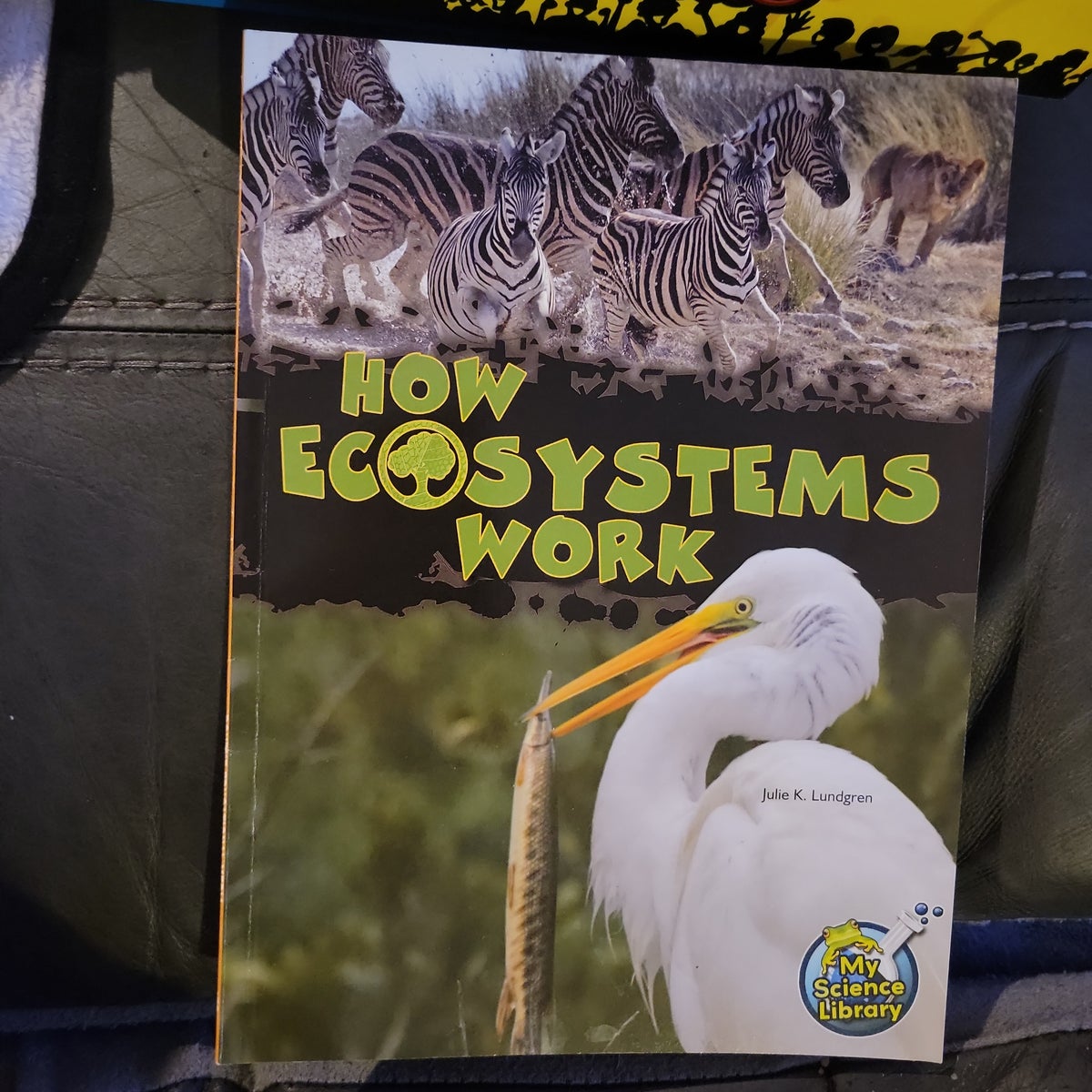 How Ecosystems Work by Julie K. Lundgren