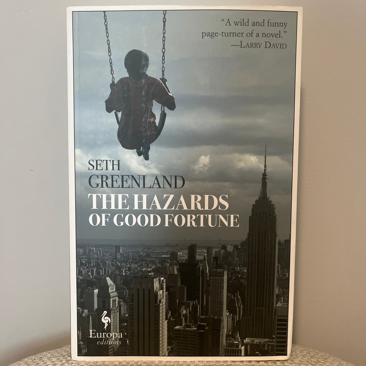 The Hazards of Good Fortune by Seth Greenland