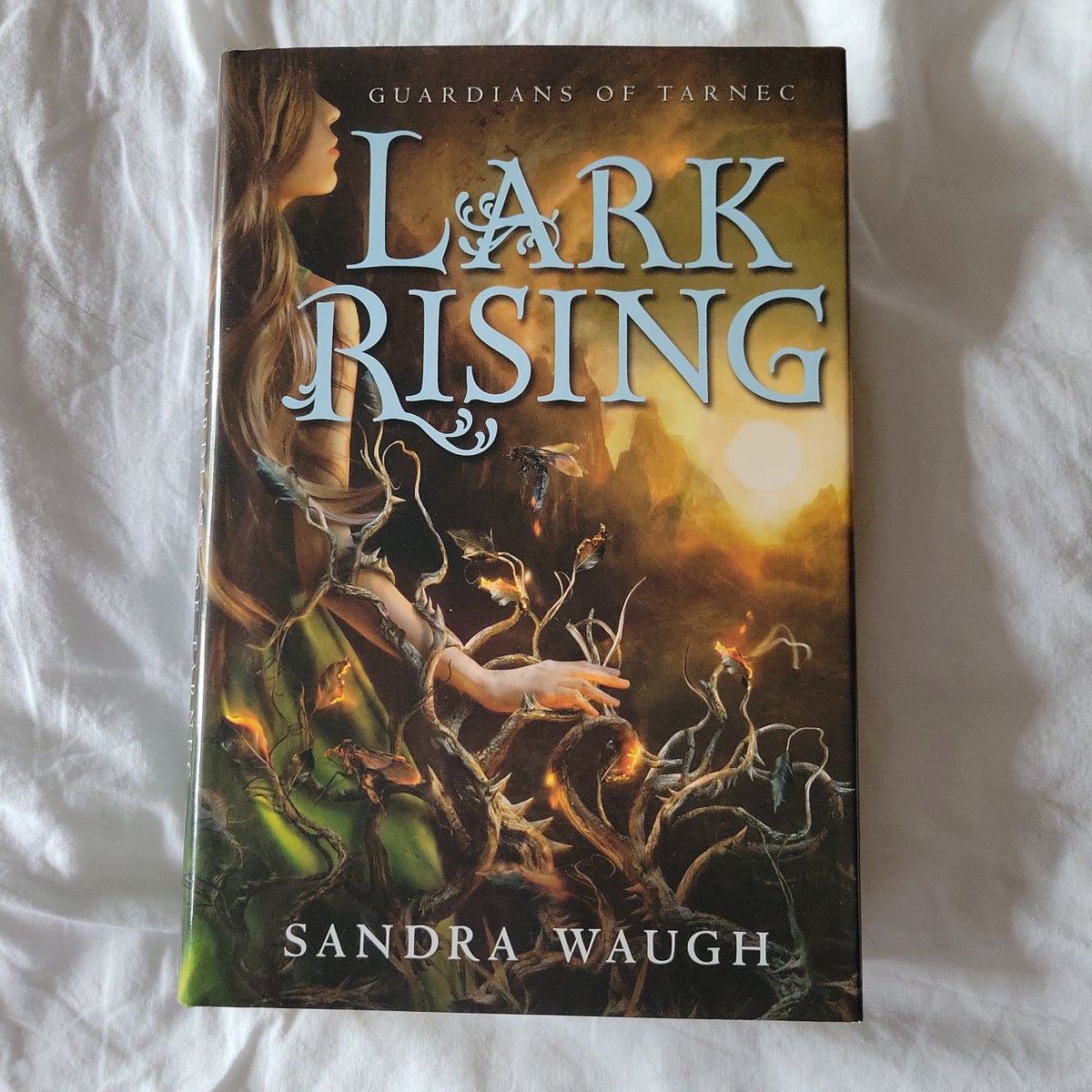 Lark Rising by Sandra Waugh