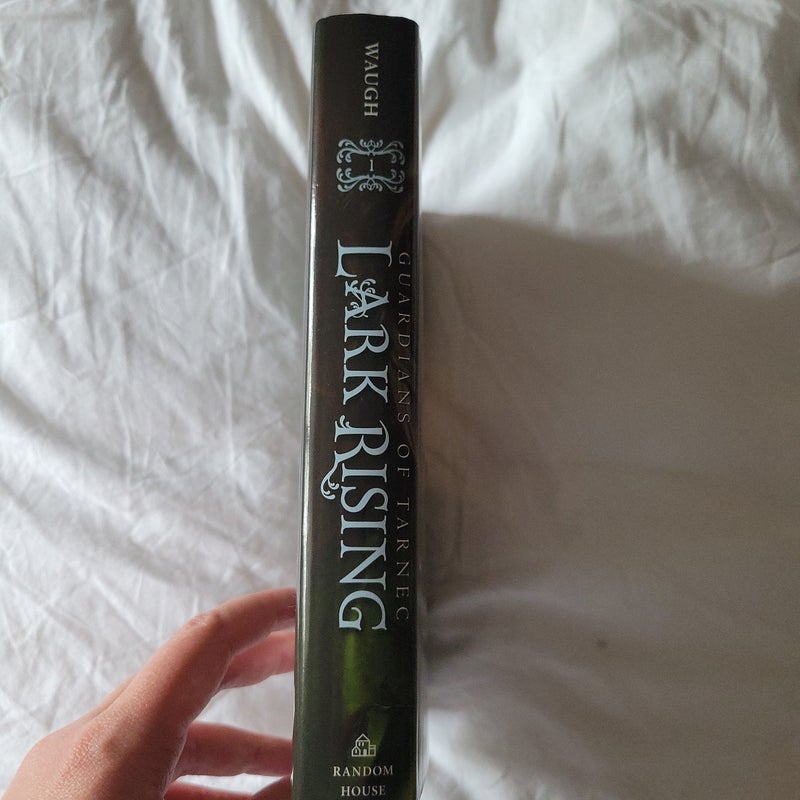 Lark Rising by Sandra Waugh