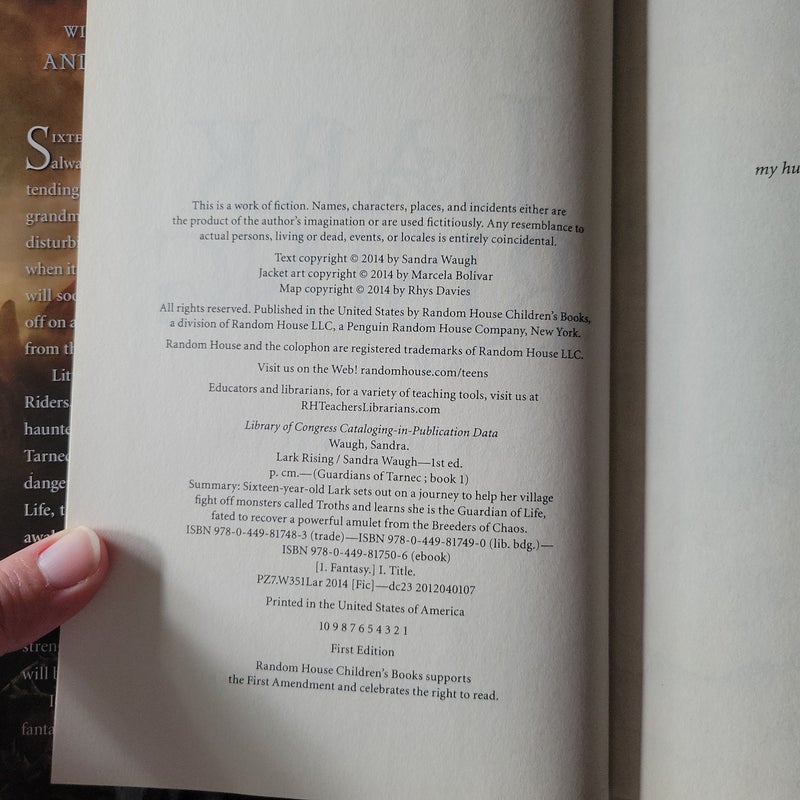 Lark Rising by Sandra Waugh